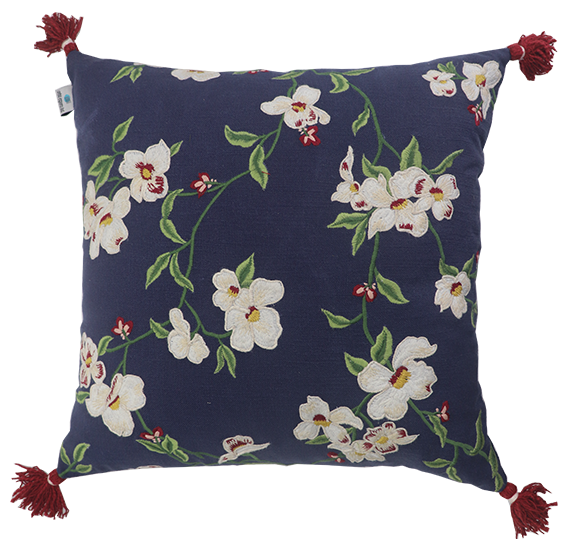 Everyday – Orbit Exports